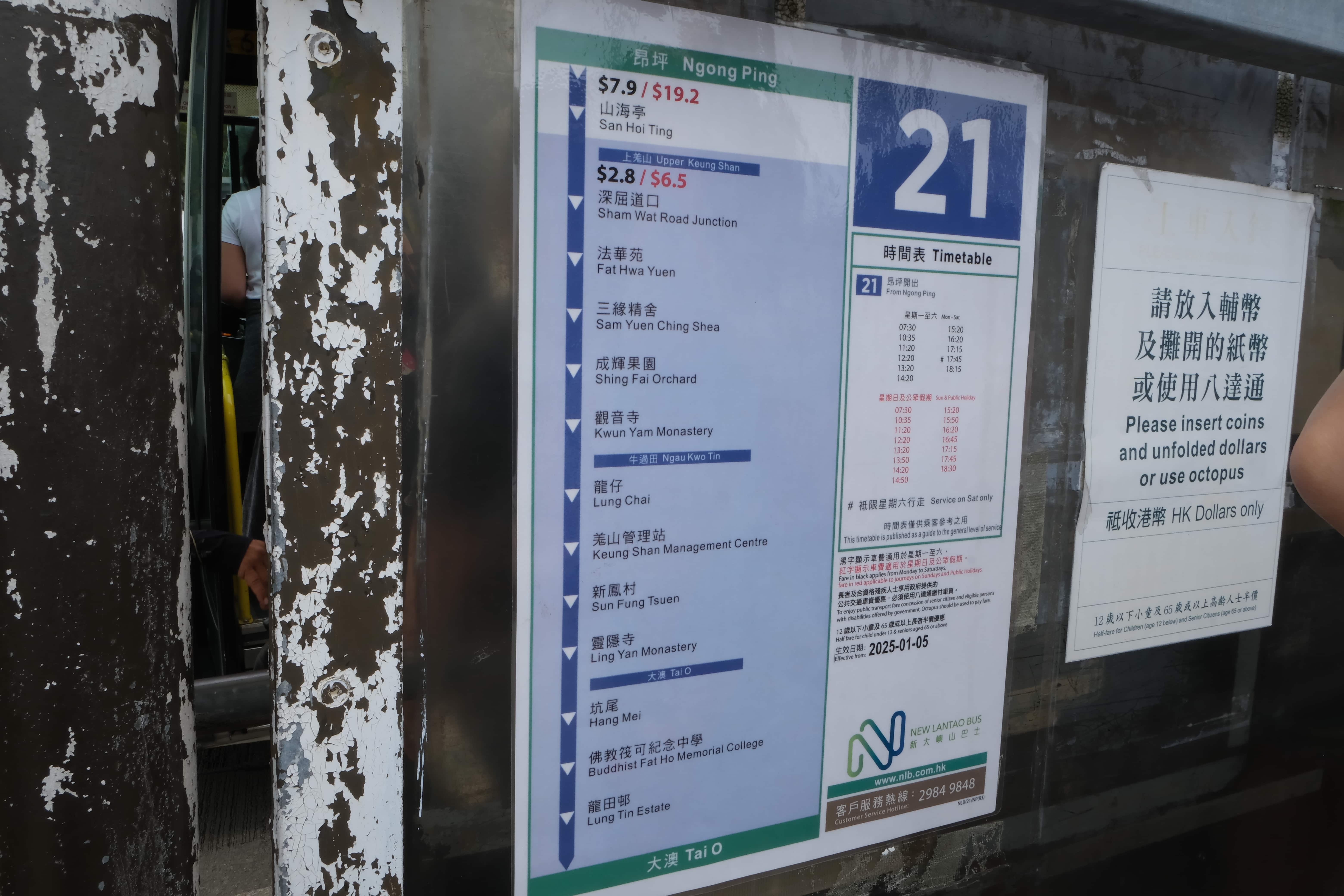 A Guide to Ngong Ping 360 Cable Car and Tai O Village – RoxReels