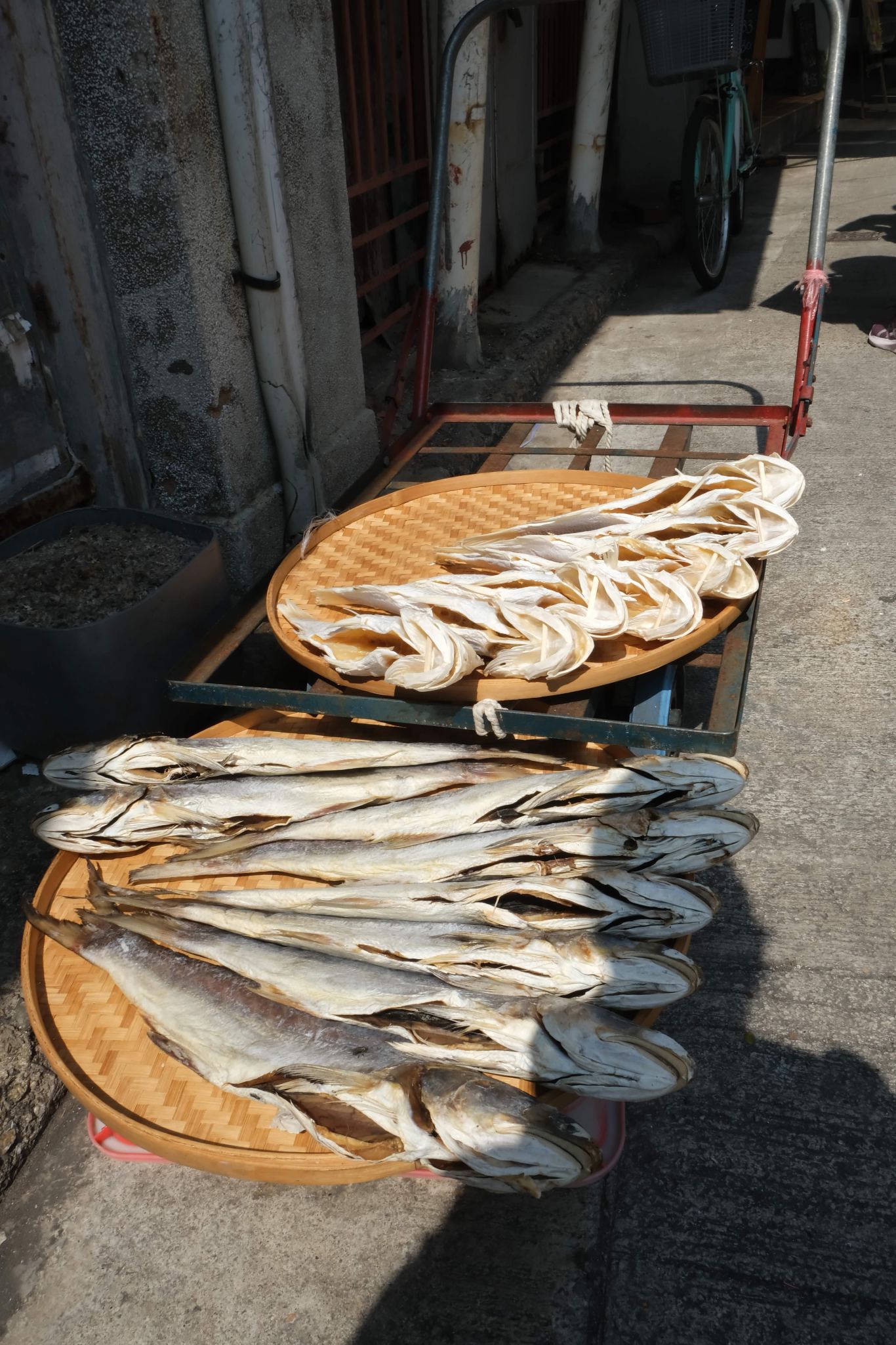 A Guide to Ngong Ping 360 Cable Car and Tai O Village – RoxReels