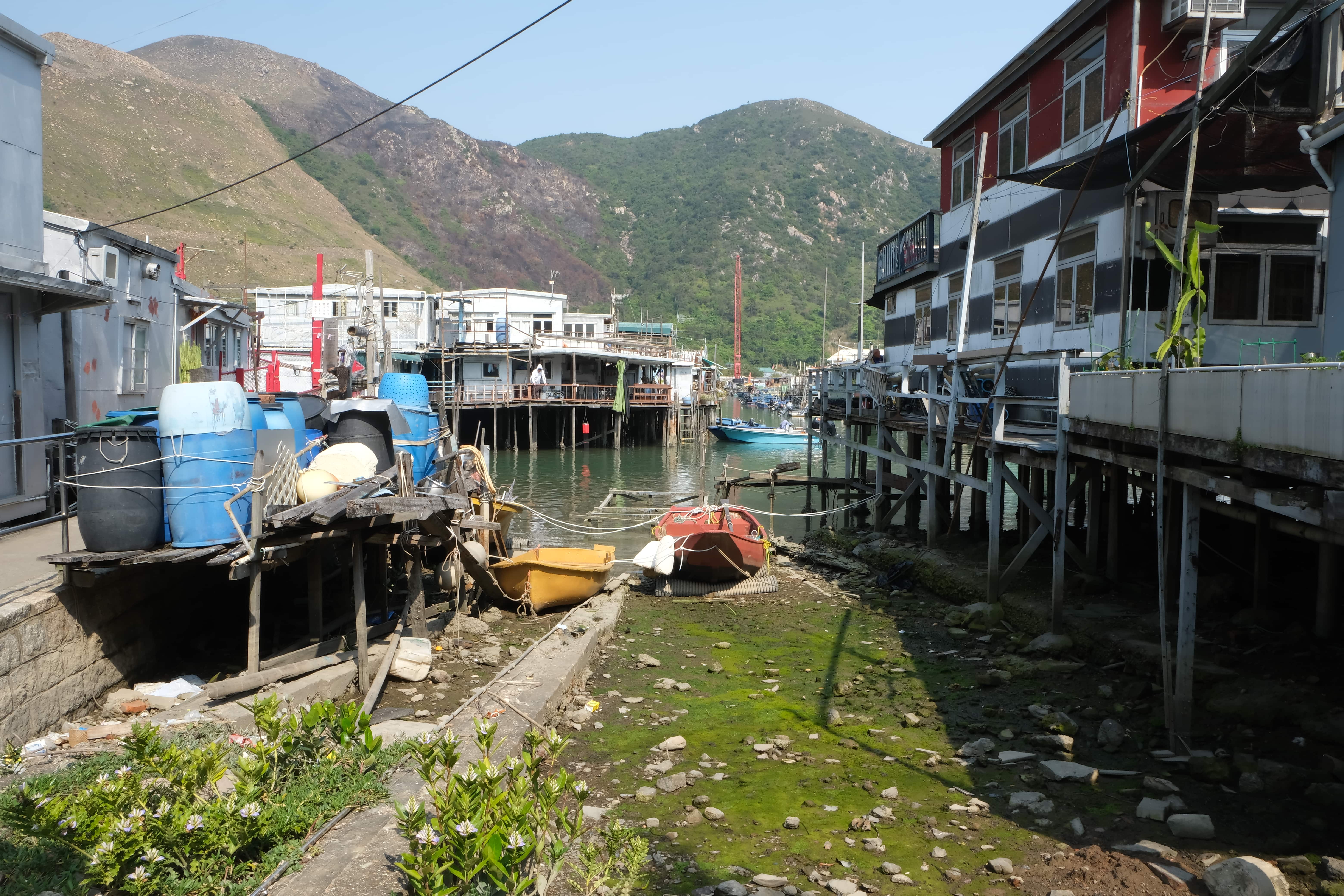 A Guide to Ngong Ping 360 Cable Car and Tai O Village – RoxReels